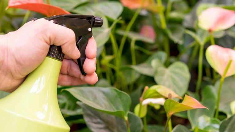 Lawn Bug and Insect Control Service in Geelong | Pest Patrol