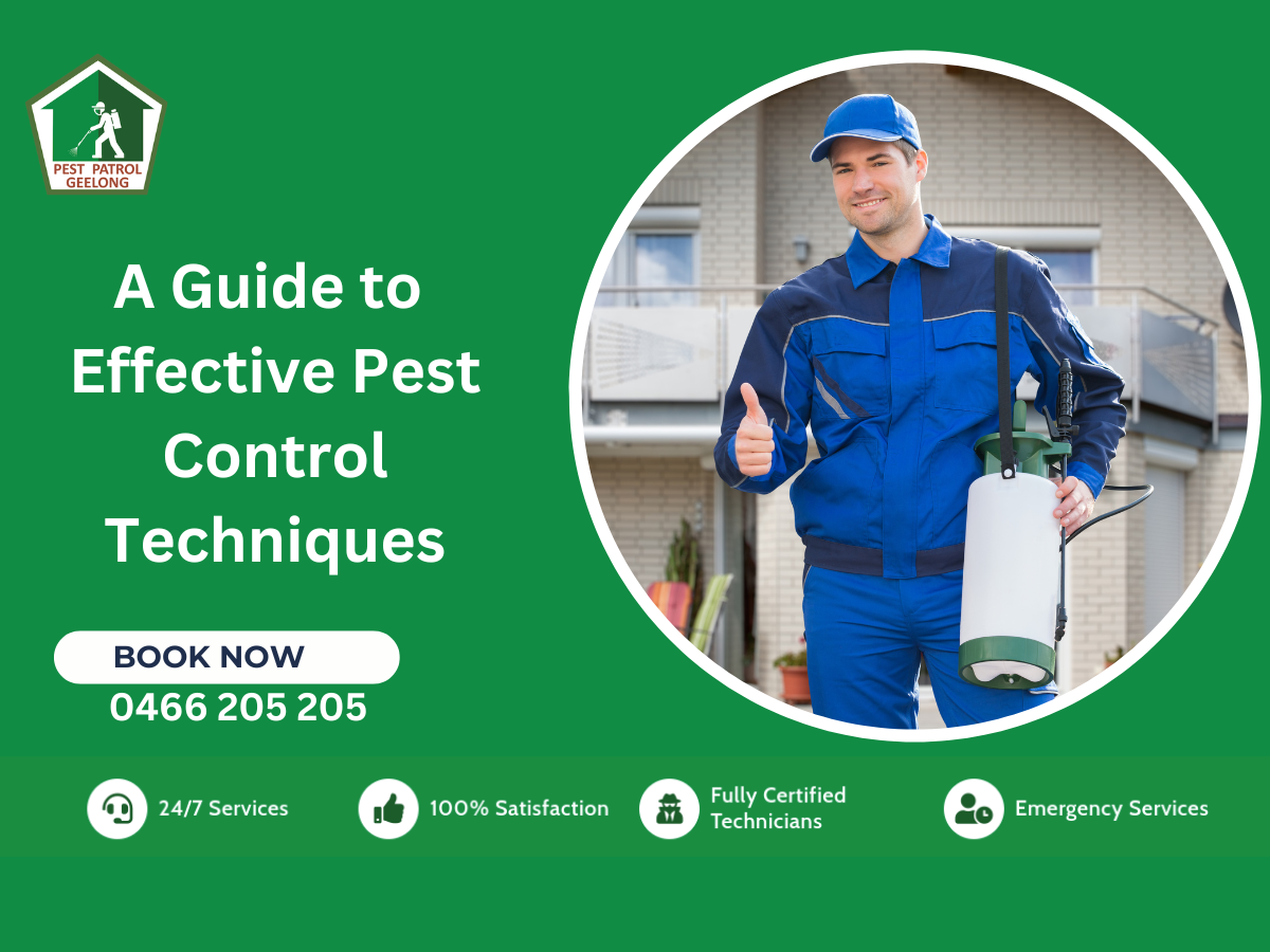 A Guide to Effective Pest Control Techniques