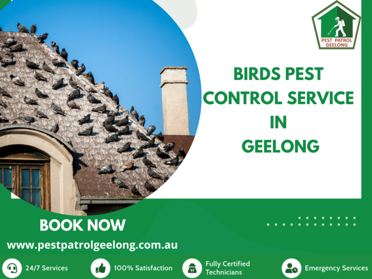 Expert Pest Control Services | Pest Exterminator Geelong, Victoria