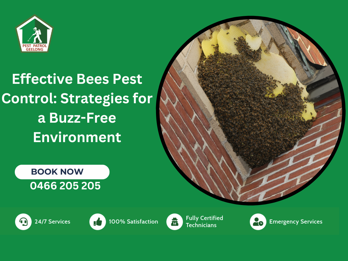 Effective Bees Pest Control: Strategies for a Buzz-Free Environment ...