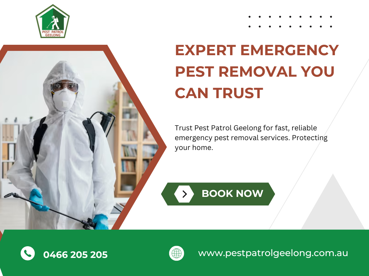 Expert Pest Control Services | Pest Exterminator Geelong, Victoria